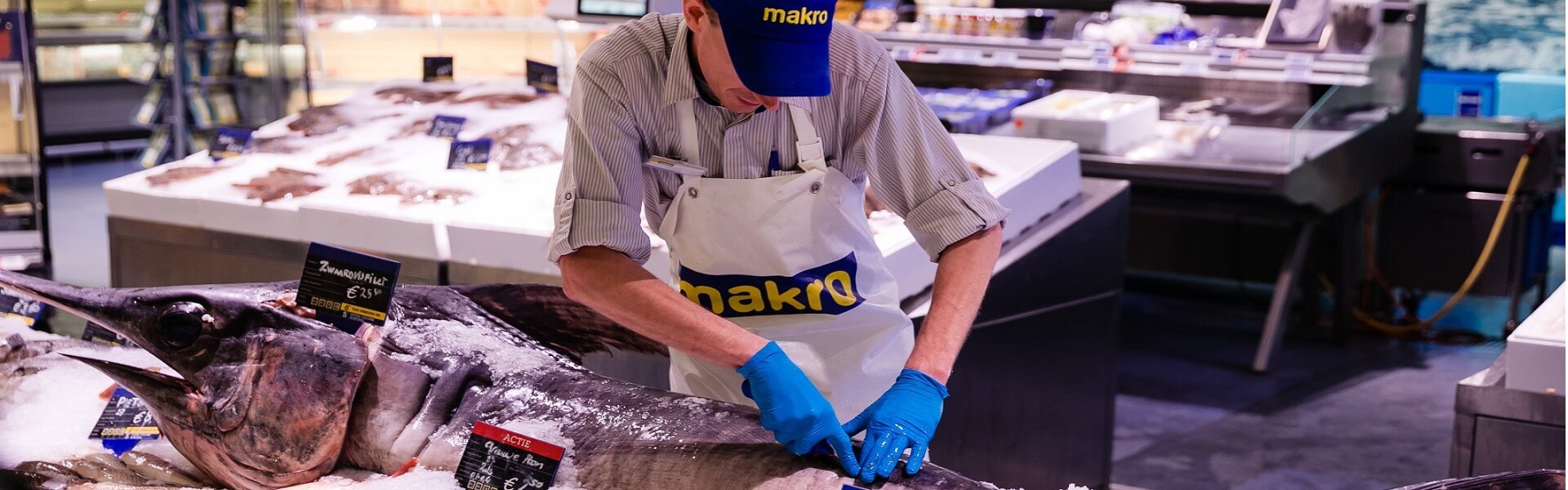 ONZE ORGANISATIE | Makro-Netherlands