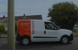 Careers at Rentokil Initial | Rentokil Initial